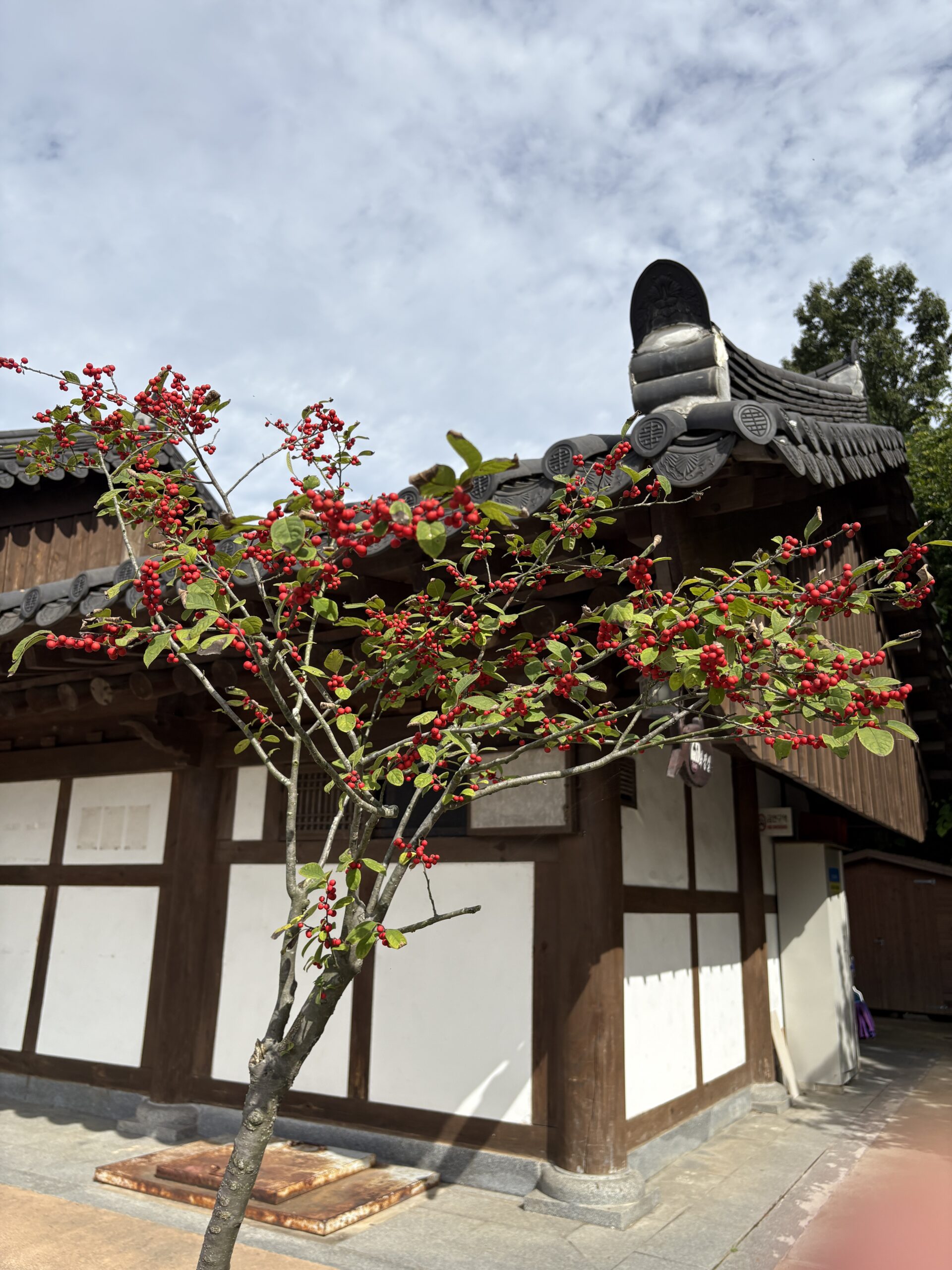 韓国～全州への旅 | 神戸北町しばたピアノ教室